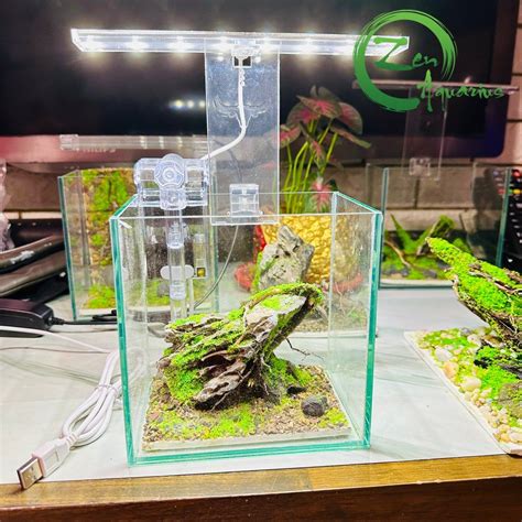 Cách Làm Bể Thủy Sinh Mini đơn Giản Mà đẹp Tại Nhà 2024 Zen Aquarius