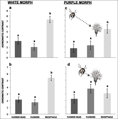 Chromatic And Achromatic Contrasts Of Jnd Values For The White And Download Scientific Diagram