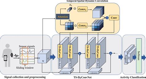figure 1 from temporal spatial dynamic convolutional neural network for human activity