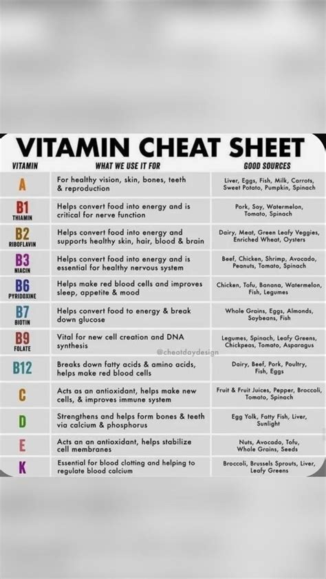 Vitamin Cheat Sheet Cuando Te Ignoran Salud