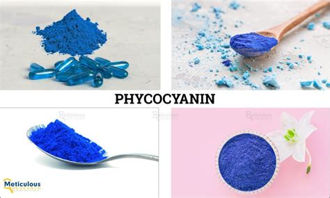 Lakshmi Patil On Linkedin Pigment Algae Antioxidant Medicine Food