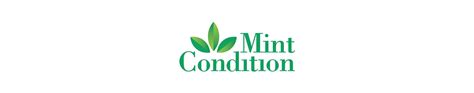 Mint Condition Masters The Master Franchise Model Spadea Lignana