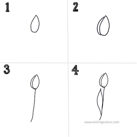 5 Tulip Drawing Ideas That Are Easy And Beautiful