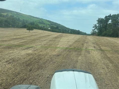 Direct Drilling Grass Stitching For Sale In Co Longford For €60 On