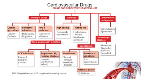 Classification Of Drugs Kt Tripati For Mbbs Bds Allied Notes Ppt