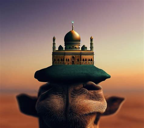 Cair Wants Schools To Consult Mosques Before Teaching Sex Ed Daniel Greenfield Sultan Knish