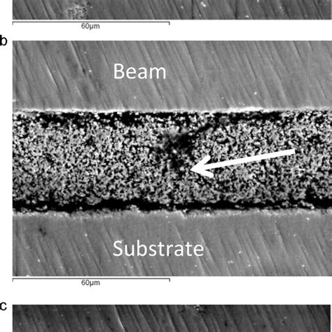 Cross Section Of A Partially Failed Specimen Showing How The Fracture Download Scientific