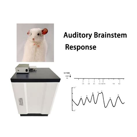 China Mouse Auditory Brainstem Response Testing System Manufacturers Suppliers Low Price