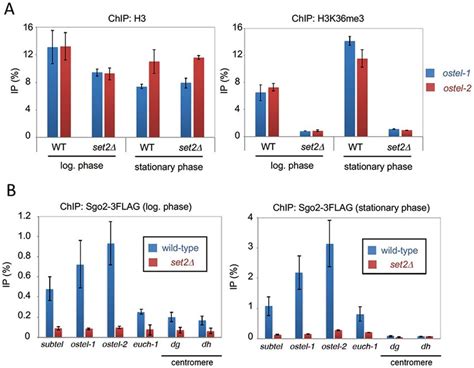 Set2 Is Required For Bub1 Independent Localization Of Sgo2 To