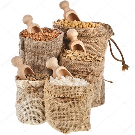 Corn Kernel Seed At Christopher Cummings Blog