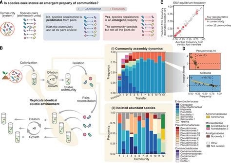Emergent Coexistence In Multispecies Microbial Communities Science