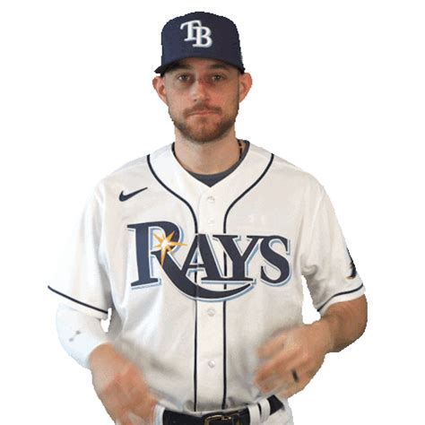 Tampa Rays Stickers Find And Share On Giphy