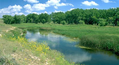Fox Ranch