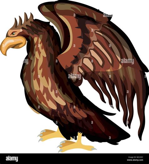 Eagle Assault Stock Vector Images Alamy