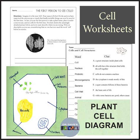 5th Grade Georgia Standards Of Excellence Science Cells And Microorganisms Made By Teachers