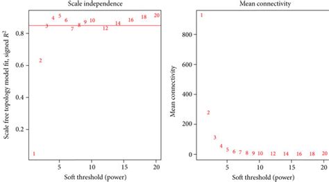 Analysis Of The Scale Free Index And Mean Connectivity For Various Soft