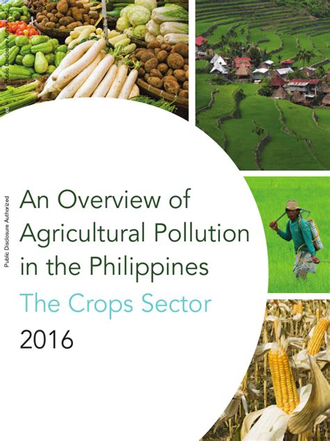 Wp P153343 Public Philippines Crops 2 Pdf Fertilizer Agriculture