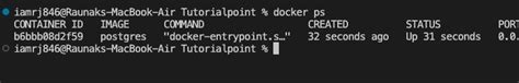 Docker PostgreSQL Settings