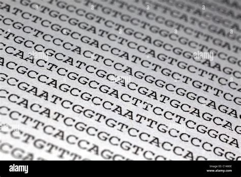 Human Dna Code