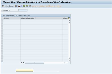Frcisub1 Sap Tcode Process Substring1 Commitment Item
