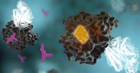 Raf Inhibitors Quantifying Drug Target Occupancy At Active Ras Raf Complexes In Live Cells