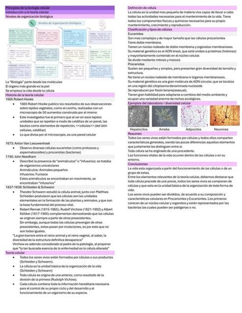 Principios De La Biología Celular Javiera Udocz