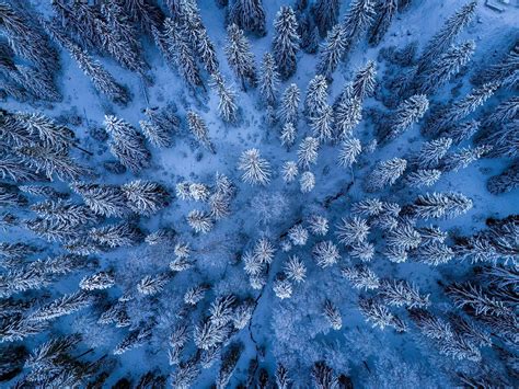 Member Profile Vasil Andreev — The School Of Photography Courses