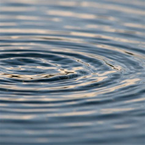 Concentric Water Ripples Spread Across A Calm Surface Creating A Circular Pattern The Stock