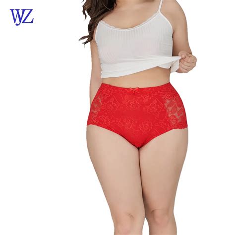 Women′s High Rise Panties Fat Girl Plus Size Underwear Sexy Black Lace