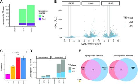 Locus Specific Te Expression Increases During Transformation A Number Download Scientific