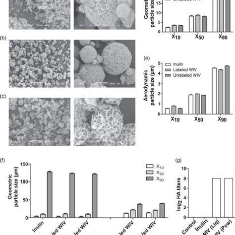 Jasmine Tomar Postdoctoral Fellow Msc In Drug Delivery Technology