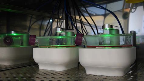 Fluorescence Live Cell Imaging System Axion Biosciences Photonics