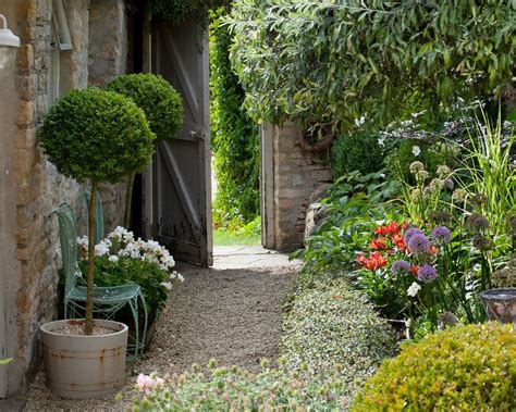 Best Evergreen Ground Cover Plants Low Maintenance Options Homes And