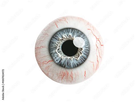 Realistic Model Of A Human Eye With Vivid Colors And Detailed Veins