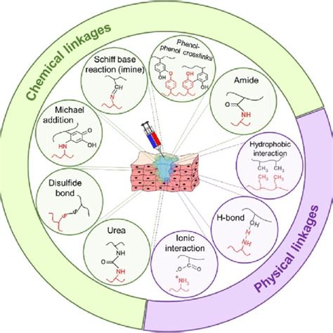 A Structure Of Peroxidases With Heme As An Active Center B