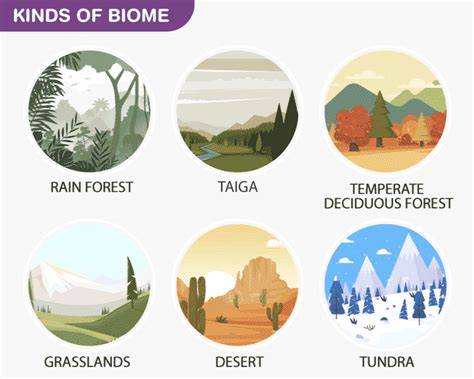 Biome Examples