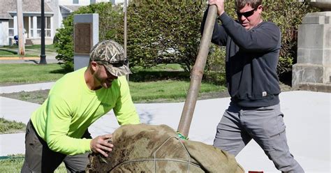 Princeton Tree Committees First Tree Of The Year Planted At The Sash Stalter Matson Building