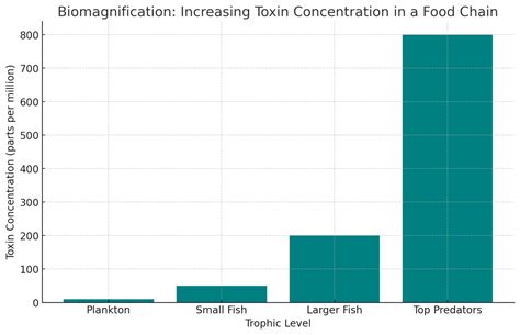 Difference Between Biomagnification And Bioaccumulation Video
