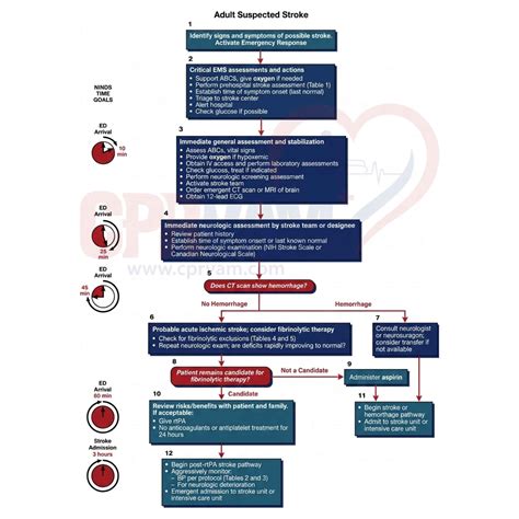 Aha Acls Algorithm Cpr Vam