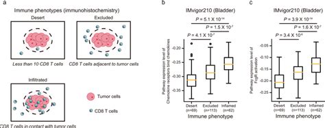 The Expression Levels Of Netbio Pathways Are Consistent With Download Scientific Diagram