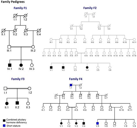 Analysis Of Prop1 Gene In A Cohort Of Tunisian Patients With Congenital Combined Pituitary