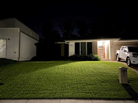 Wintergreen Couch Grass Is The Basic Option For Full Sun Areas