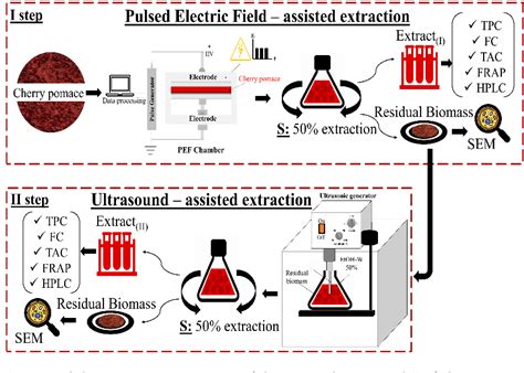 Figure 1 From Sustainable Valorization Of Industrial Cherry Pomace A Novel Cascade Approach