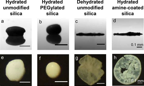 Surface Properties Of Colloidal Particles Affect Colloidal Self Assembly In Evaporating Self