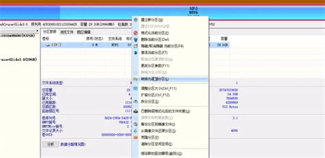 Diskgenius逻辑分区转换为主分区方法 软件自学网