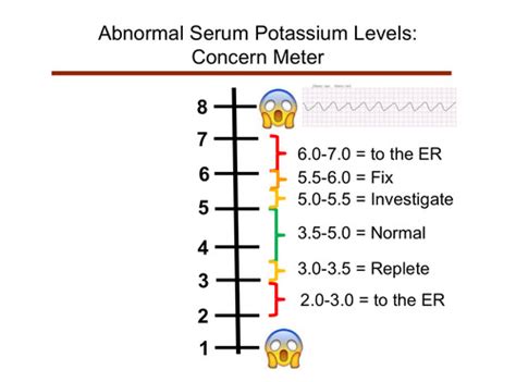 Potassium Flashcards Quizlet