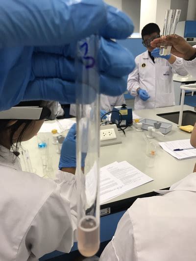 Biomolecule Detection Lab
