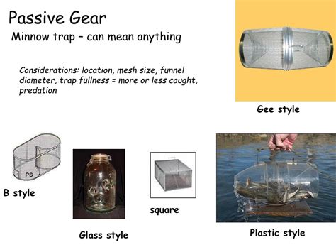 Ppt Fisheries Techniques Passive Vs Active Gear Gear Vulnerability