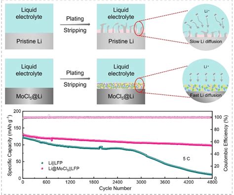 In‐situ Construction Of Licl‐rich Artificial Solid Electrolyte Interphase For High‐performance