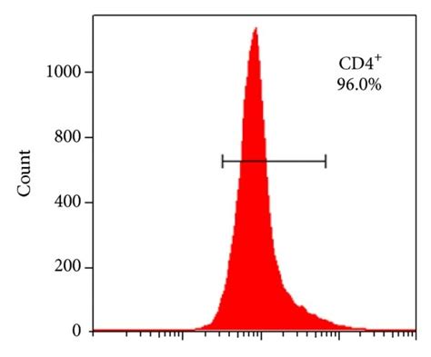 Purity Verification Of Separated Cd4⁺ T Cells By Flow Cytometry A Download Scientific